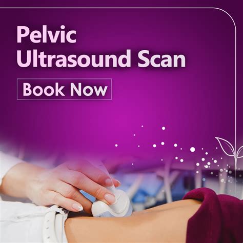 Pelvic Ultrasound Scan