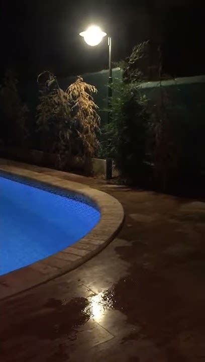 საცურაო აუზი Youtube