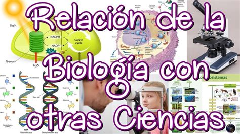 ¿qué Relación Existe Entre La Física Química Y Biología Escuela