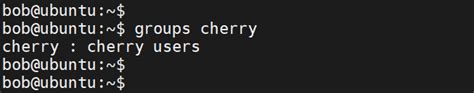 how to add a user to sudoers in ubuntu [step by step] cherry servers