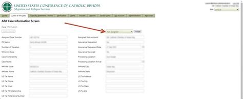 2 Case Manager Assignment