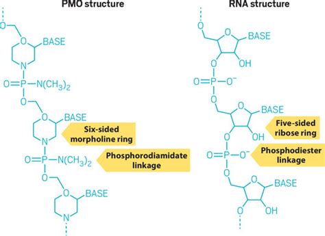 Fda Okays First Dmd Drug Canden Global Enterprise