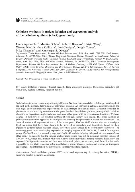 Pdf Cellulose Synthesis In Maize Isolation And Expression Analysis