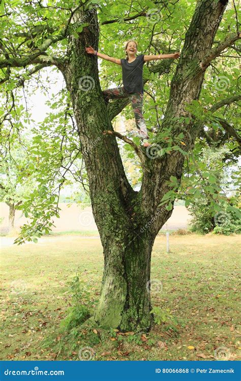 Peu D Enfant Fille Se Tenant Sur L Arbre Photo Stock Image Du Brune