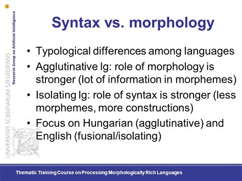 The Syntax Morphology Interface And Natural Language Processing Ppt Download