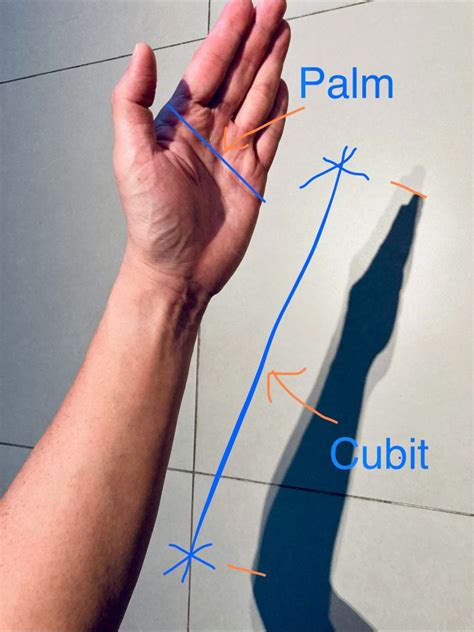 Aik Lam Khor On Linkedin Cubit Standard Standardization