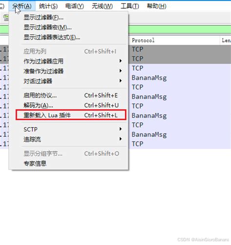 让你在wireshark中的数据包好看点（lua脚本调试） Csdn博客