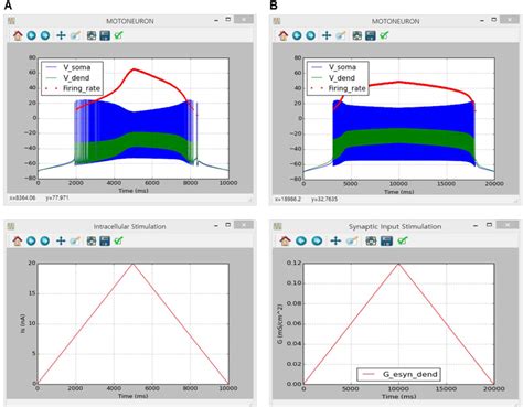 Non Linear Inputoutput Behavior Of A Cat Spinal Motoneuron A