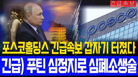 포스코홀딩스 🚨긴급 푸틴 심정지로 심폐소생술 갑자기터졌다 에코프로 에코프로비엠 박순혁 서정덕tv 삼성전자 Youtube