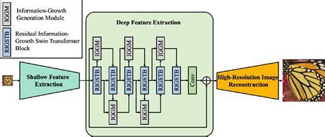 Figure 2 From Information Growth Swin Transformer Network For Image
