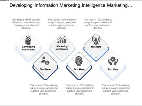 Developing Information Marketing Intelligence Marketing Decision Support Analysis Presentation
