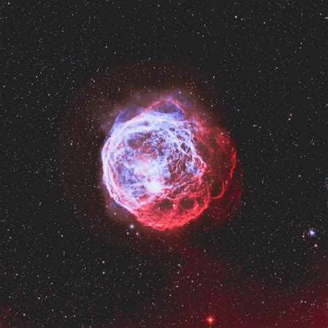 Mutable Minds X Various Artists Mindtrip