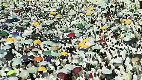 양산 들고 성지순례…50도 육박 폭염에 사망자 속출 네이버 Tv