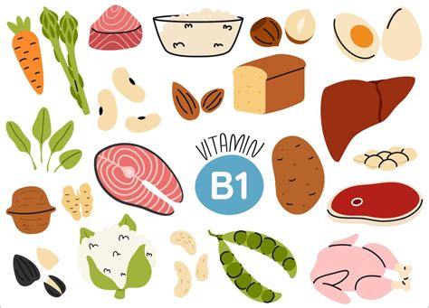 Collection Of Vitamin B1 Food Sources Thiamin Diet Products Salmon