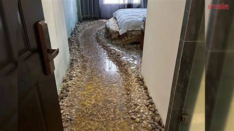 หนุ่มสงสัย จองที่พักฟีลธรรมชาติ เจอของจริงแฟน หน้าถอดสี ทำทริปหวานล่ม