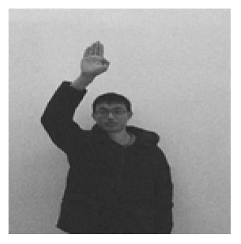 Ordinary Human Images Polluted By Gaussian Noise σ20 And Denoising