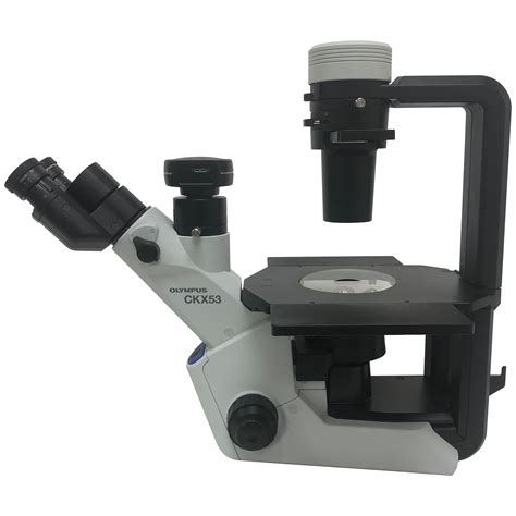 Olympus Microscope Repair At Pamela Barren Blog