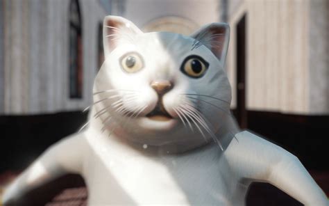 奇怪的知识增加了！哔哩哔哩bilibili