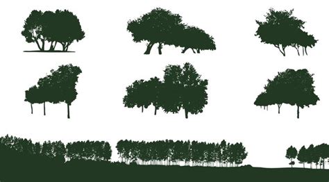 Premium Vector Set Of Deciduous Trees Silhouettes