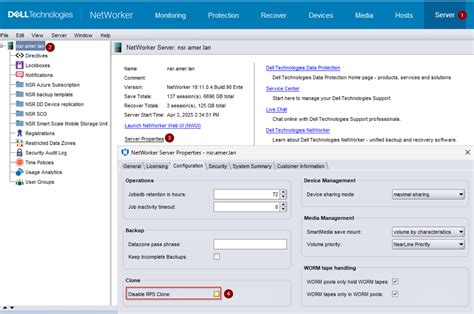 Networker Save Sets Cloned To Cloud Tier Are Not Flagged As Transit After Upgrade To Networker