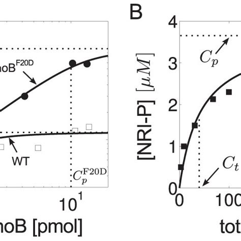 Experimental Observations Of Concentration Robustness In Download Scientific Diagram