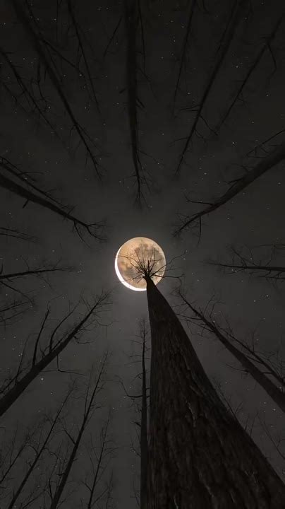 Coding Dsa On Linkedin Computer Science Essentials Crafting User