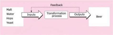 Operations Management The Transformation Model