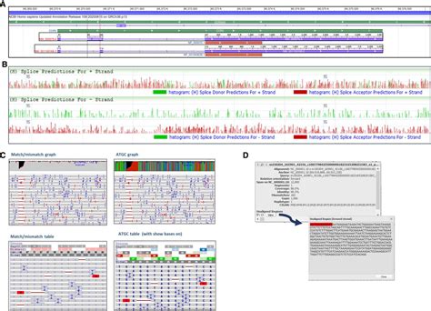 Accessing Ncbi Data Using The Ncbi Sequence Viewer And Genome Data
