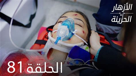 الأزهار الحزينة الحلقة 81 كاملة Kırgın Çiçekler Youtube