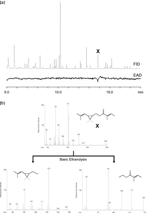 Headspace Gas Chromatography Flame Ionization Detector At Frank Mauricio Blog