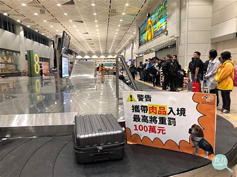 來自中國的肉製品非洲豬瘟陽性機率最高！春節出遊勿攜帶豬肉產品回國以免觸法！ 食力 Foodnext Line Today