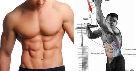 The Secret To Getting A Six Pack Guaranteed Bodydulding