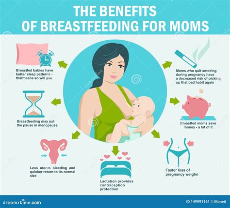 Infographics the Advantages and Disadvantages of Breastfeeding 库存例证