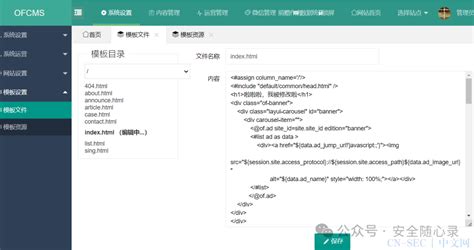 第十二课 系统学习代码审计：代码审计实战2 ofcms审计思路和演示 cn sec 中文网