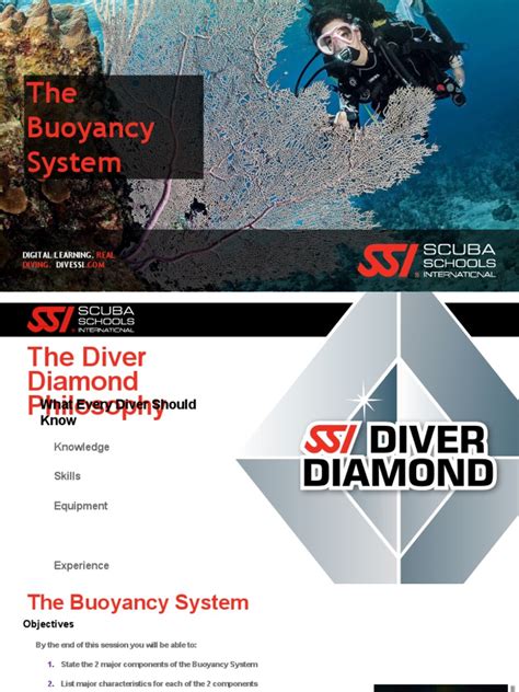 Presentation Buoyancy System Pdf Scuba Diving Underwater Diving