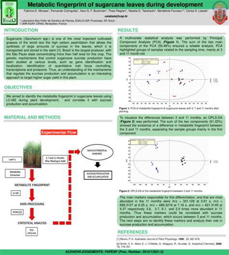 Pdf Metabolic Fingerprint Of Sugarcane Leaves During Development