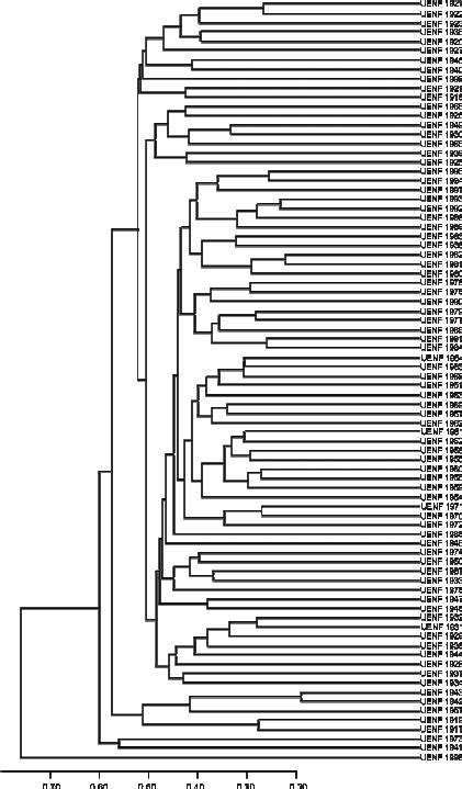 Dendrogram Obtained With Upgma From The Jaccard Dissimilarity Matrix Of