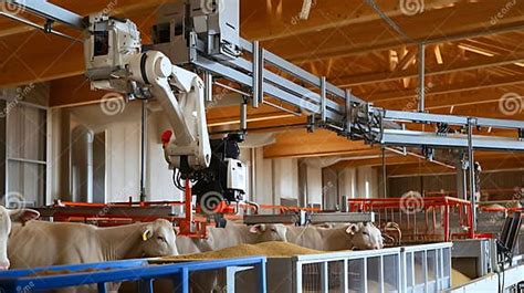 A Farm With Automated Feeding Systems For Livestock Showing Feed Being