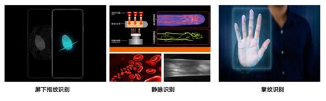 应用于屏下生物识别的光微通道玻璃阵列面板 广州宏晟光电科技股份有限公司 光纤传像 光纤通信 光纤