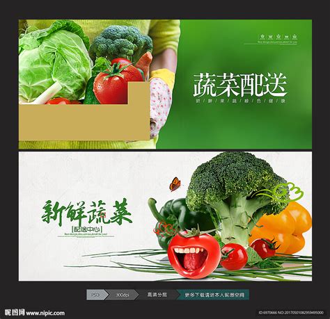蔬菜配送设计图 海报设计 广告设计 设计图库 昵图网