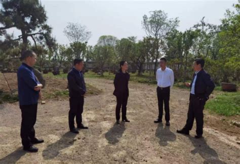 区委书记桑延慧实地调研乡村振兴工作蚌埠市蚌山区人民政府