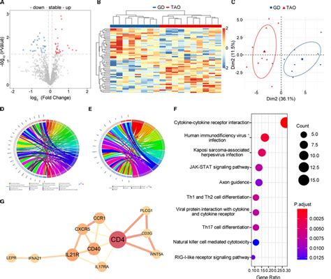 Identification Of Differentially Expressed Immune‐related Genes Irgs Download Scientific