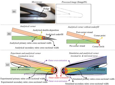Post Processing Of Results A Processing Of Microscopy Using Imagej