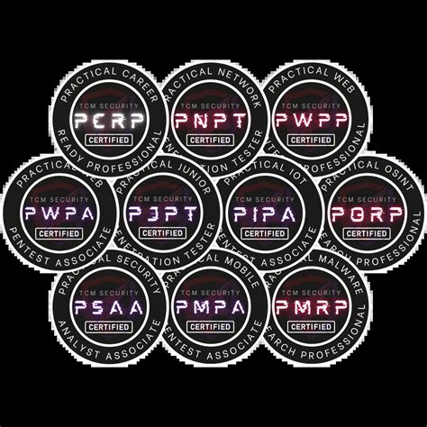 The Ultimate Hacking And Defending Training Bundle Tcm Security