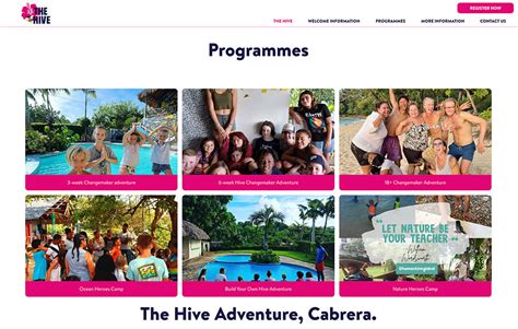 The Hive Sfweb Portfolio