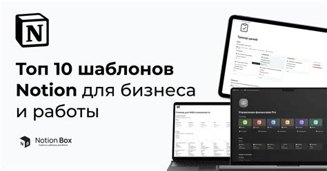 Notion Ai Что это такое и как им пользоваться • Notionbox