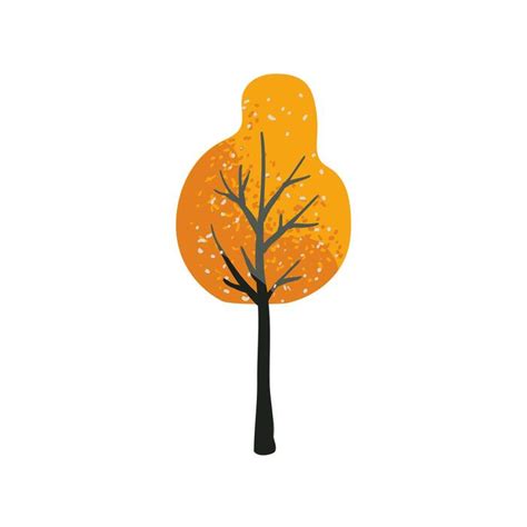 Aspen Tree Vector Art Icons And Graphics For Free Download