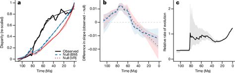 Morphospace Filling Through Time A Accumulation Of Multivariate