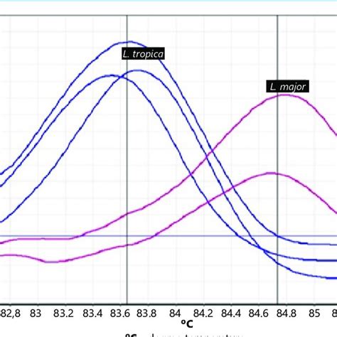 Derivative Melt Curve Analysis Of Its2 Gene In Different Species Of Download Scientific Diagram