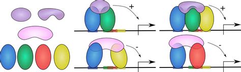 Daco Algorithm To Run In Windows Online Over Linux Online Download For